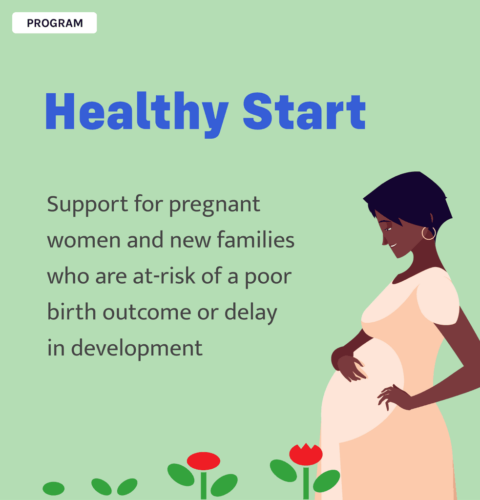 Healthy Start Coalition of Miami-Dade | Florida Healthy Start Coalition ...